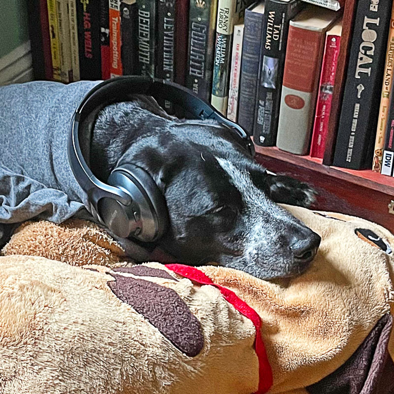 Motivational Poster Generator